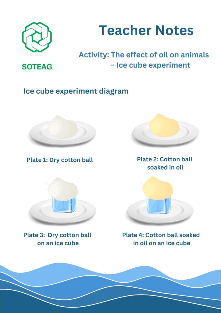 Seabird ice cube experiment – SOTEAG